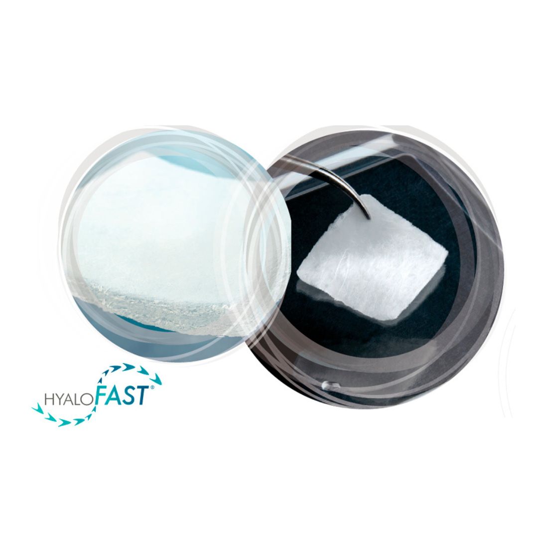 Hyalofast® – BeWeGe Medical
